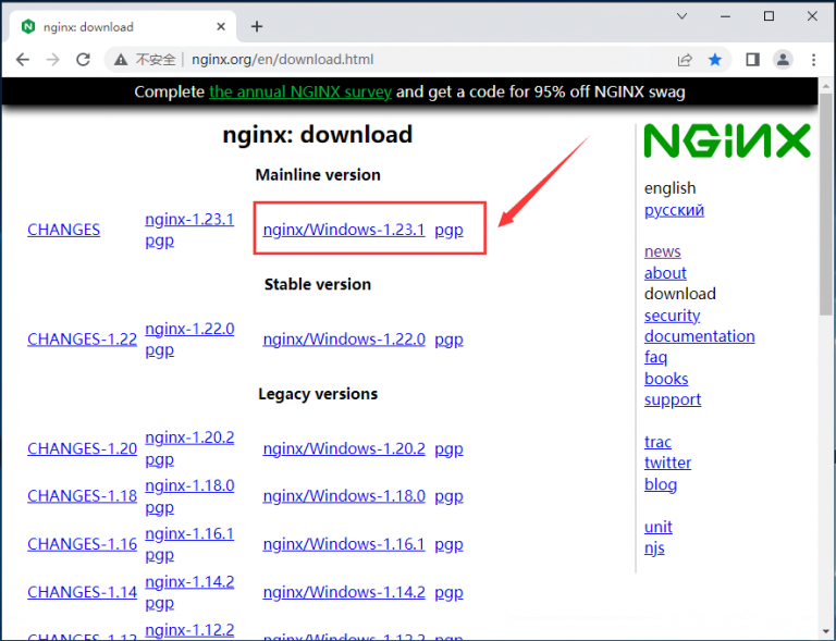 外网访问 Nginx 服务 - 帮助中心 - 路由侠