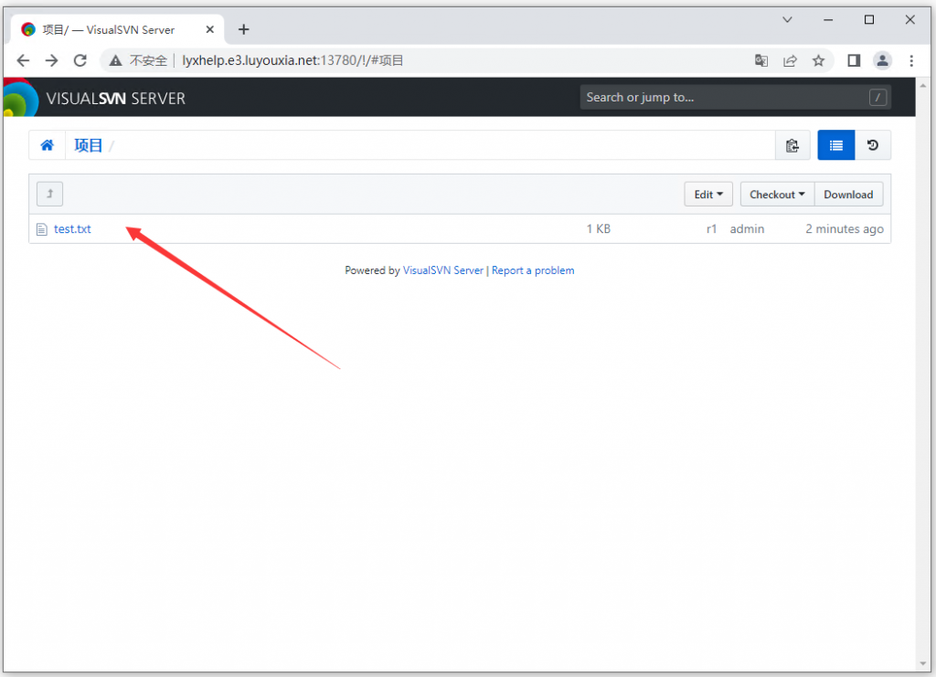 外网访问 SVN 服务 - 帮助中心 - 路由侠