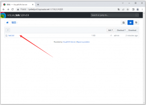 外网访问 SVN 服务 - 帮助中心 - 路由侠