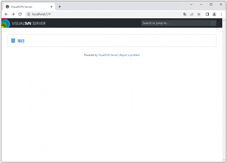 外网访问 SVN 服务 - 帮助中心 - 路由侠