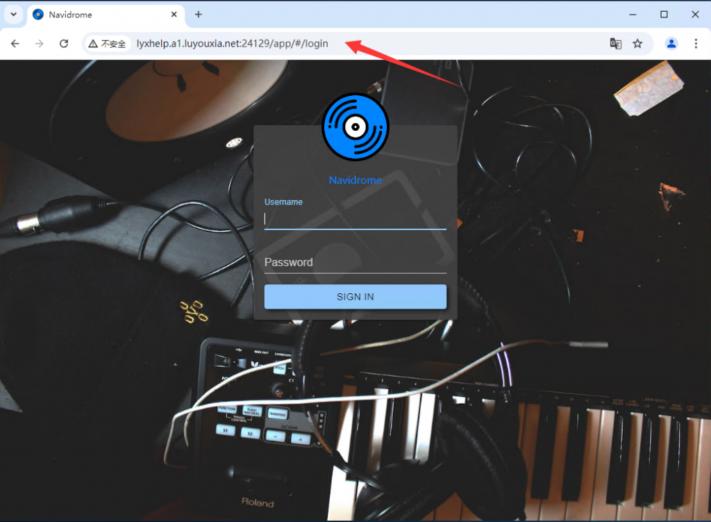 本地 Docker 部署 Navidrome 以及外网远程访问详细教程 - 帮助中心 - 路由侠