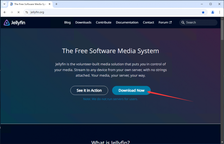 外网访问 Jellyfin 播放器 - 帮助中心 - 路由侠