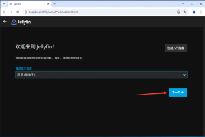 外网访问 Jellyfin 播放器 - 帮助中心 - 路由侠