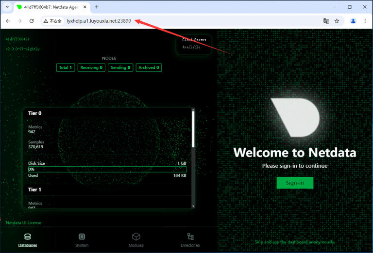 本地部署 Netdata 可视化实时监控工具并实现外部访问 - 帮助中心 - 路由侠