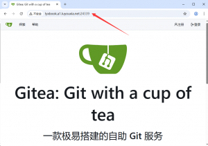 本地部署代码托管解决方案 Gitea 并实现外部访问 - 帮助中心 - 路由侠