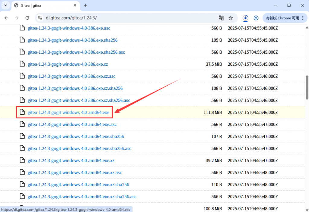 本地部署代码托管解决方案 Gitea 并实现外部访问（ Windows 版本） - 帮助中心 - 路由侠