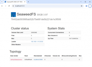 本地部署开源分布式文件系统 SeaweedFS 并实现外部访问（ Windows 版本） - 帮助中心 - 路由侠